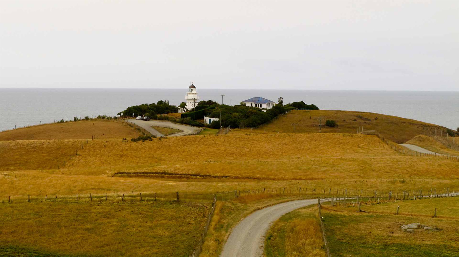 Katiki ‹ The Tawaki Project