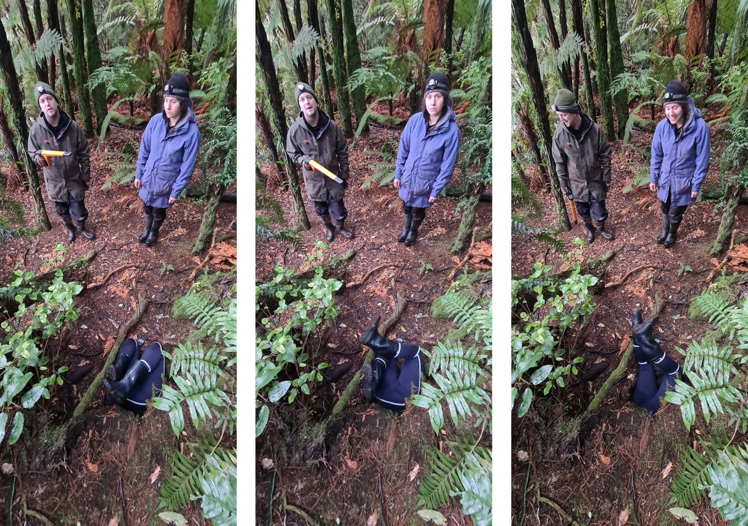 Research Diary ‹ The Tawaki Project