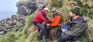 Research Diary ‹ The Tawaki Project