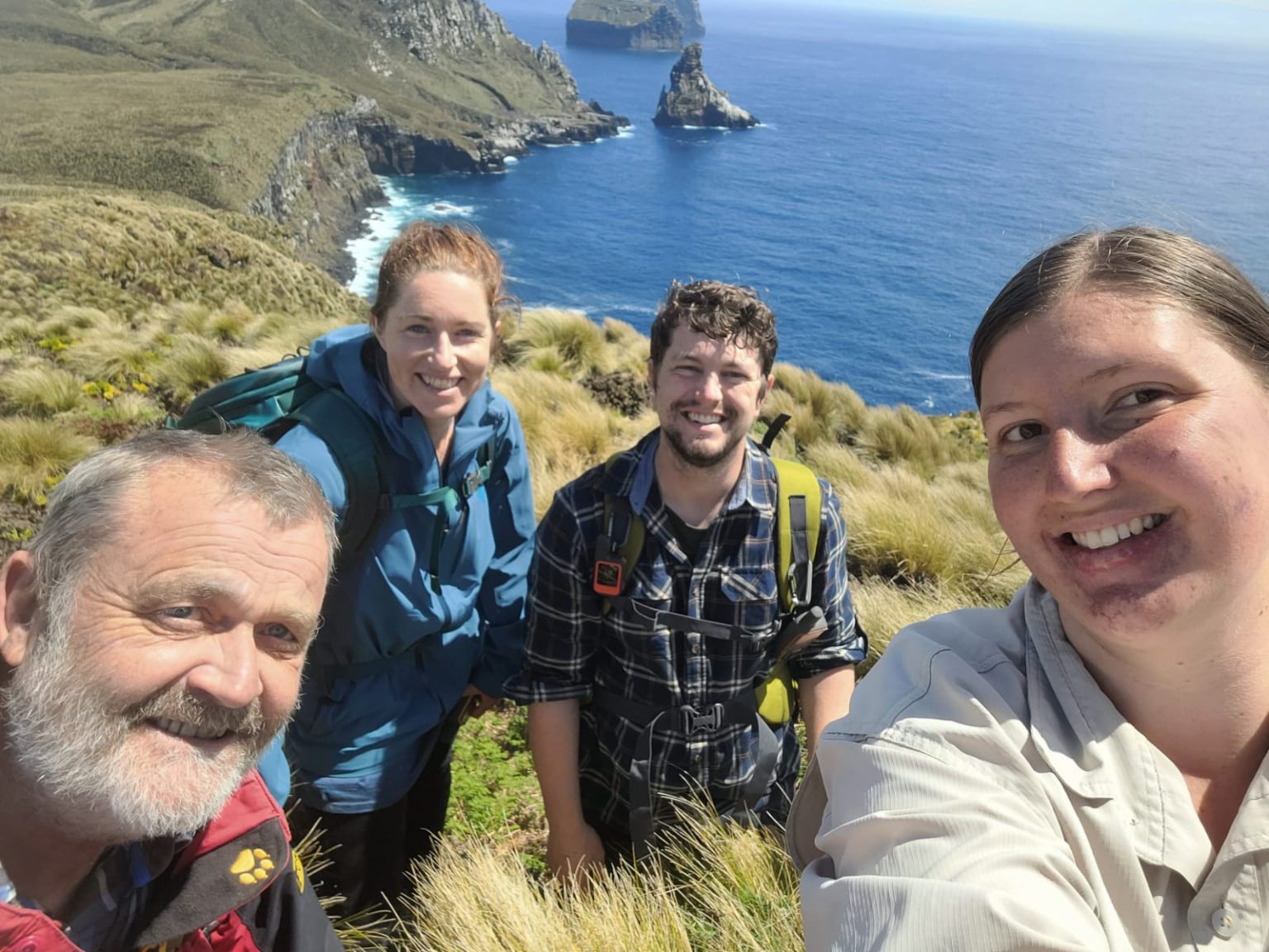 Research Diary ‹ The Tawaki Project