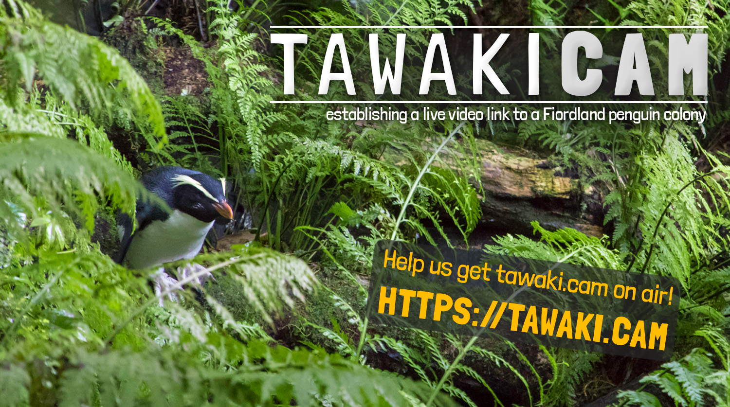 Research Diary ‹ The Tawaki Project